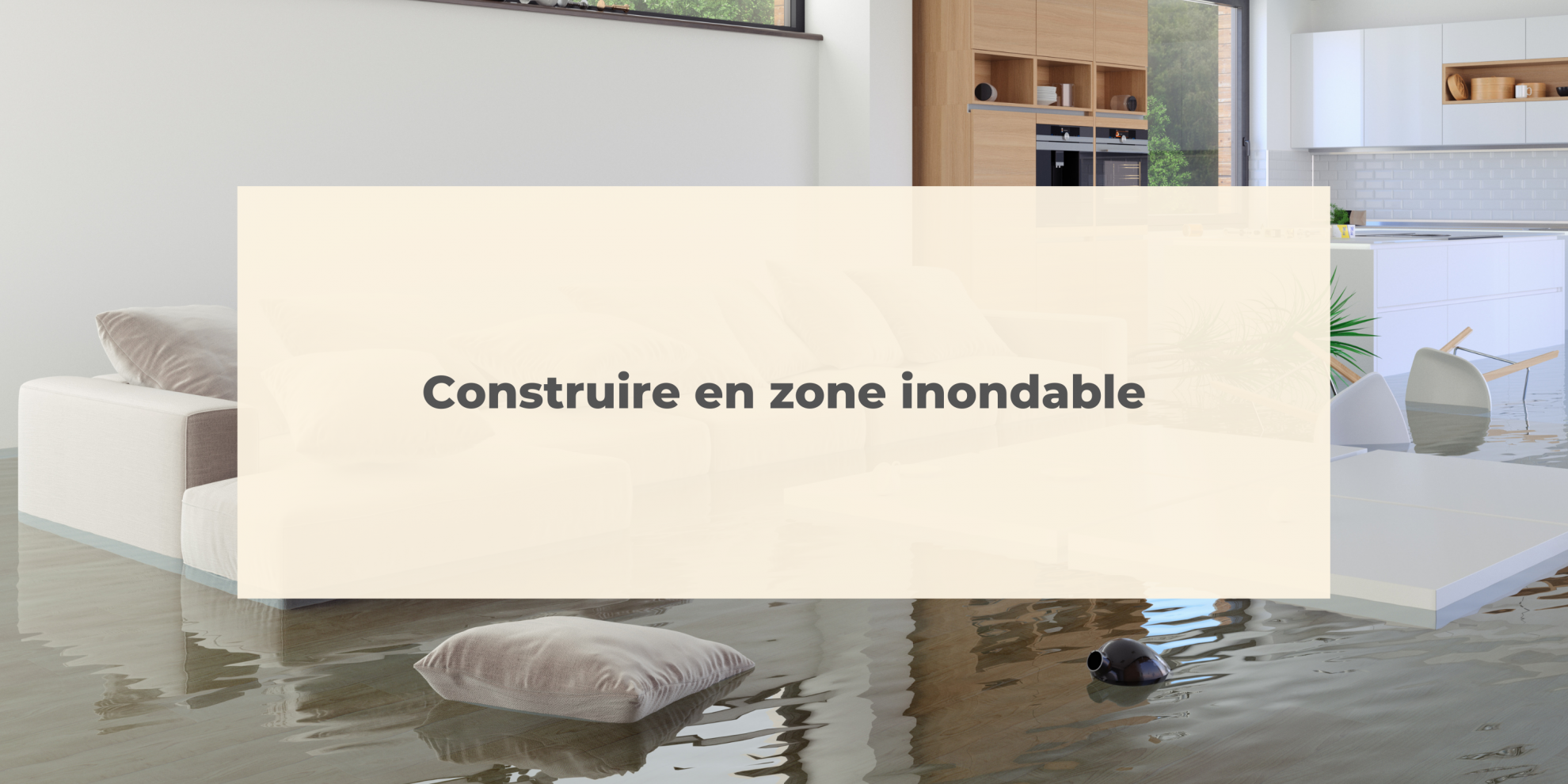 Zone N du PLU : comprendre en 5 min. la zone naturelle et forestière